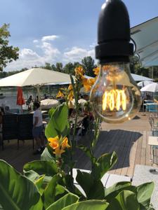 Das Bootshaus Alte Donau - Landtmann's Bootshaus